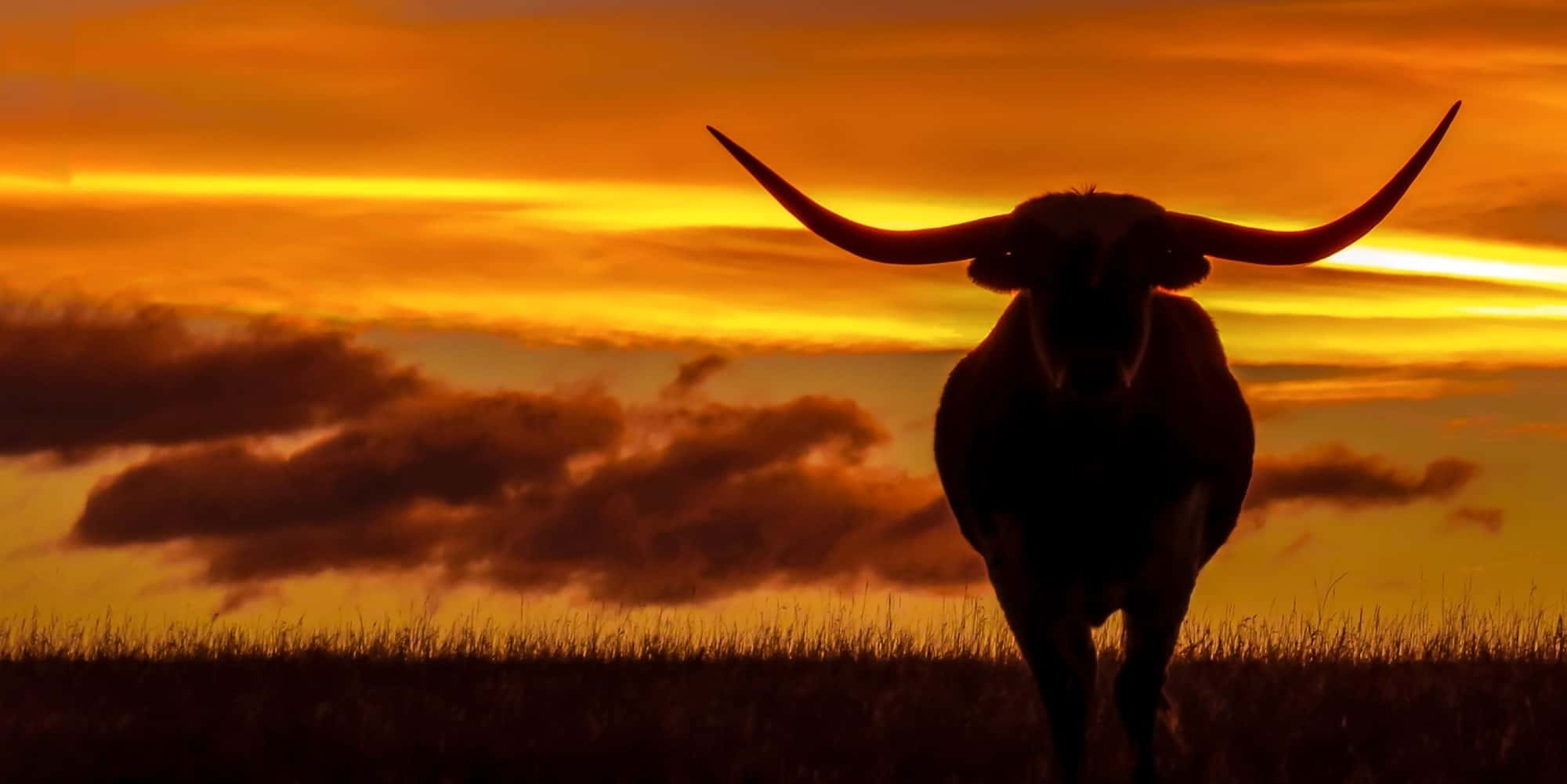 Texas: Cable TV & Internet Providers Guide
